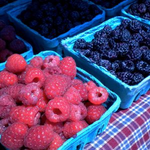 Pick Fruits and Vegetables at a Farm - Kristys Barn near Albany, New York